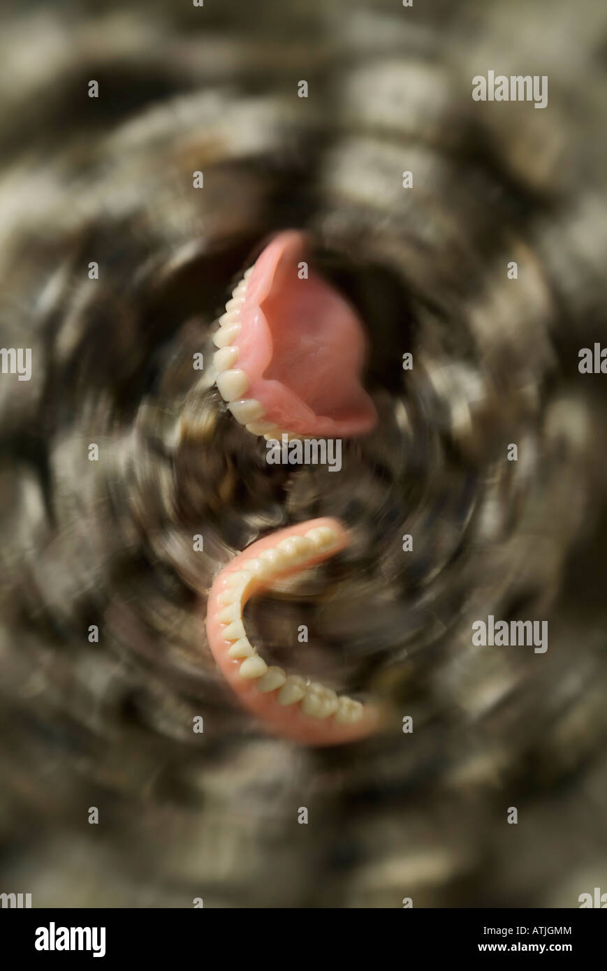 Grow on shells hi-res stock photography and images - Alamy