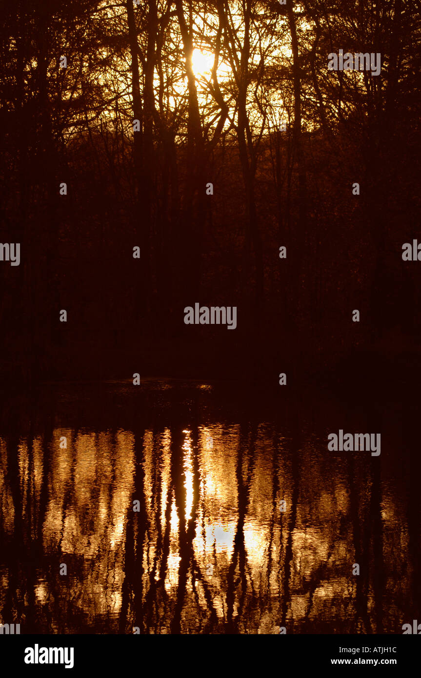 Autumn Pond Reflections Stock Photo - Alamy