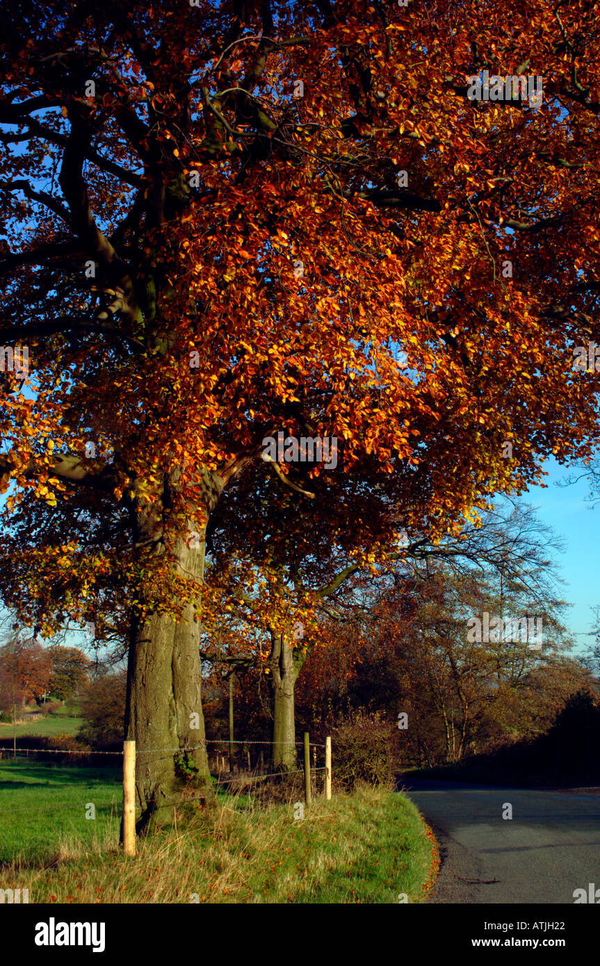 Lane changes hi-res stock photography and images - Alamy