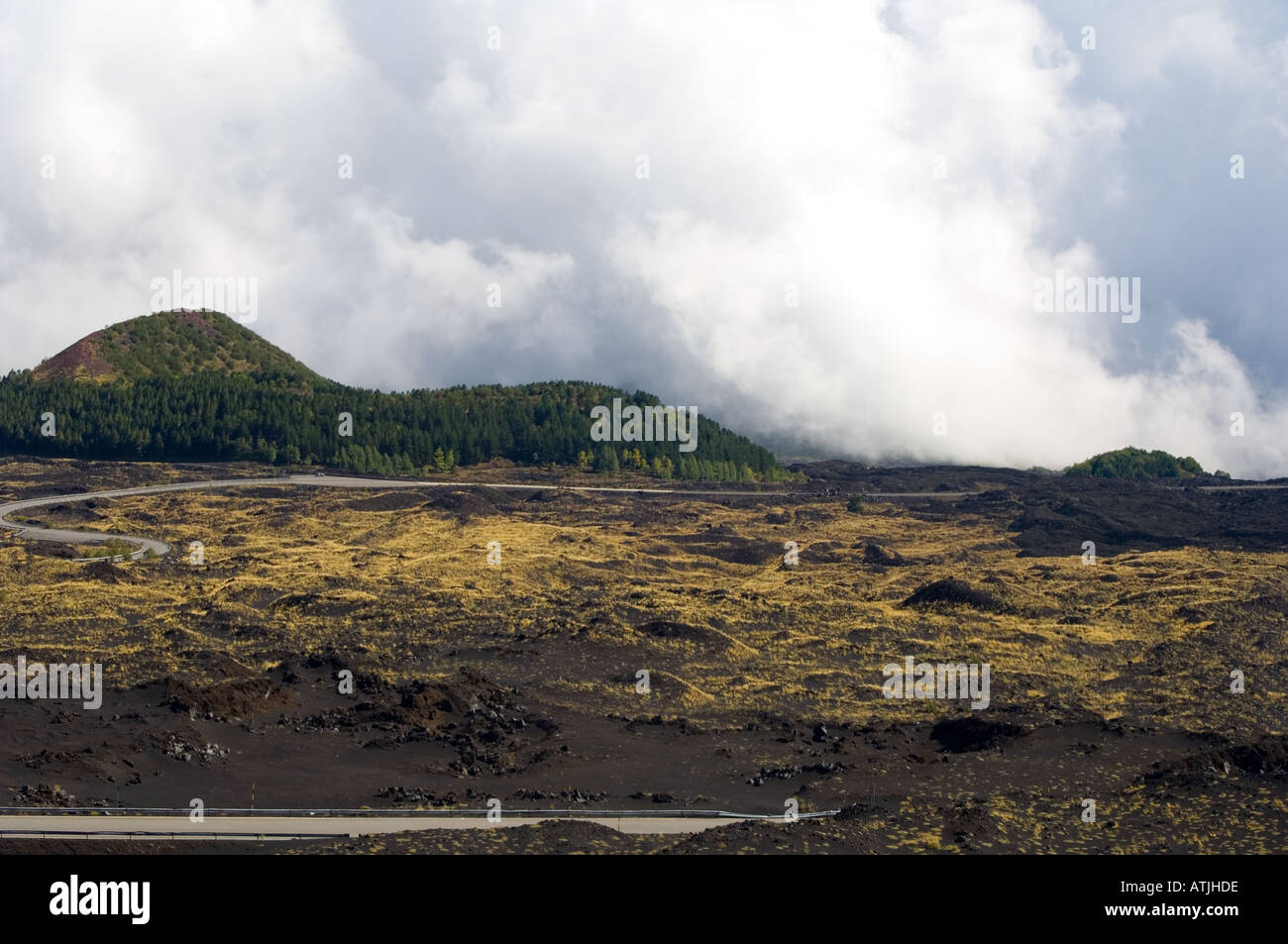Grasses taking a tentative foothold in the cinder landscape on the side ...