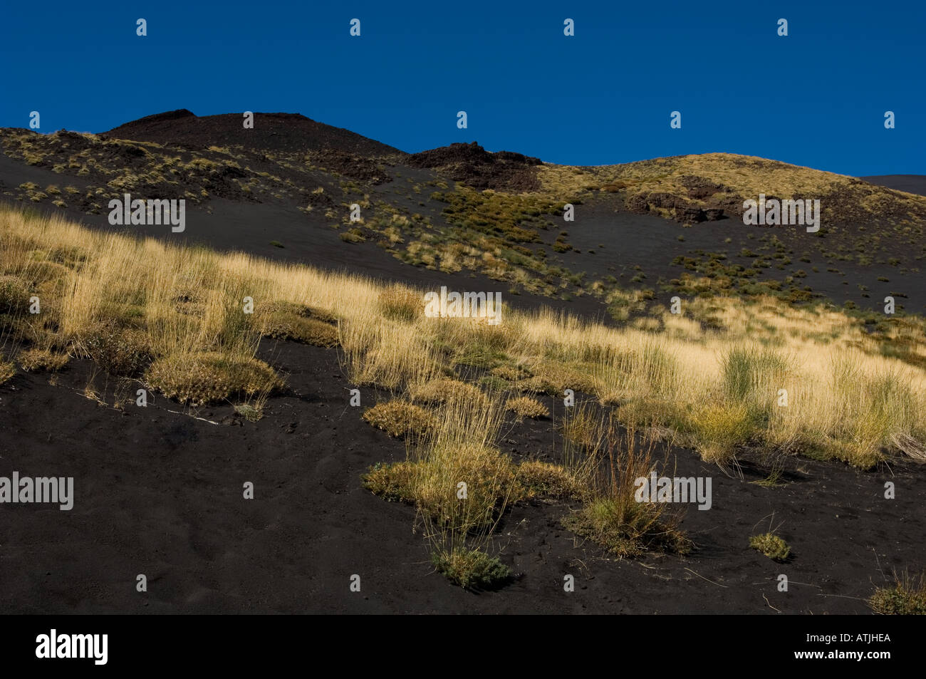 Volcano volcanic ash regrowth grass hi-res stock photography and images ...