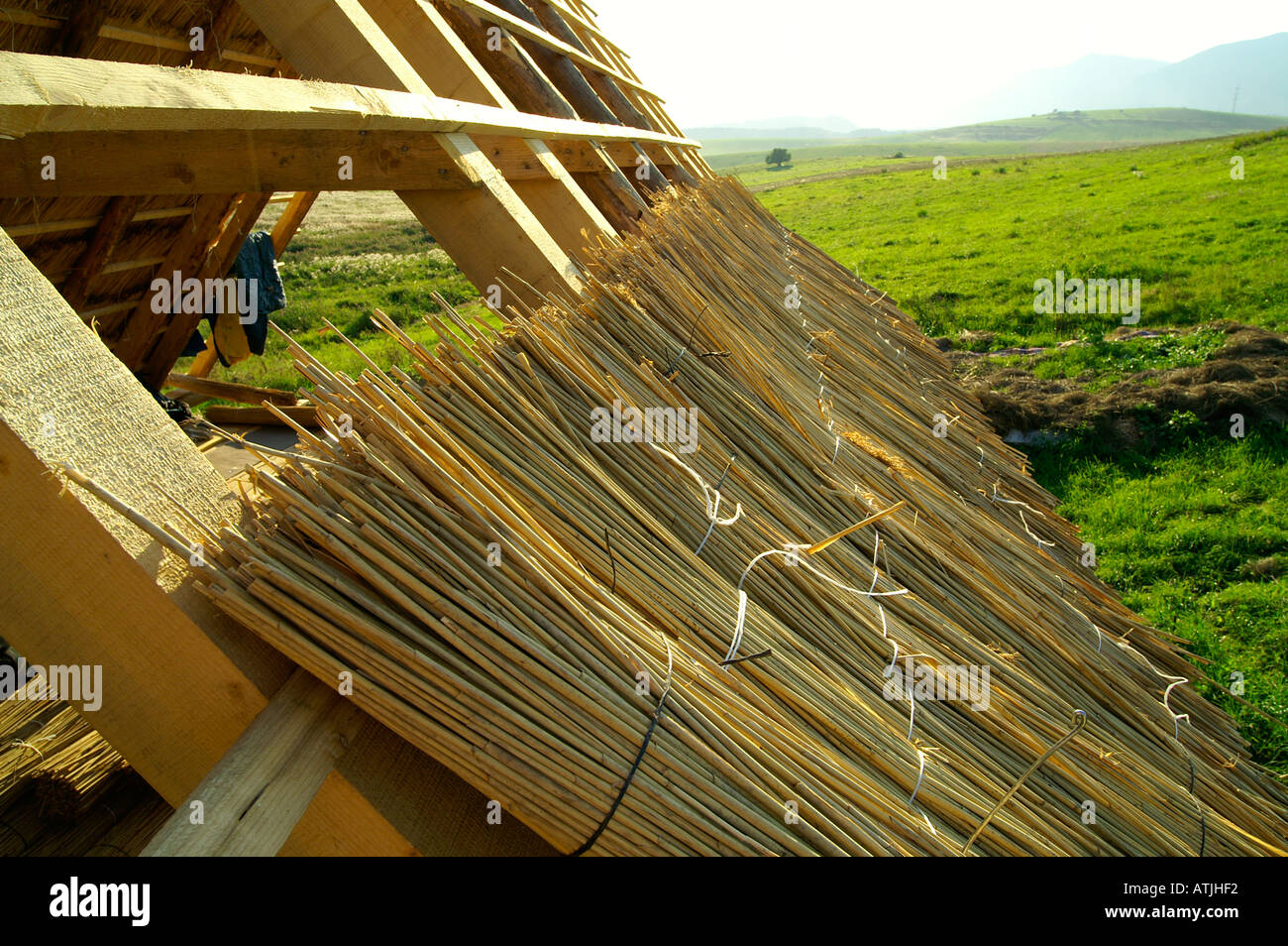 Layers of thatched straw bolts building straw roof of slovak ...