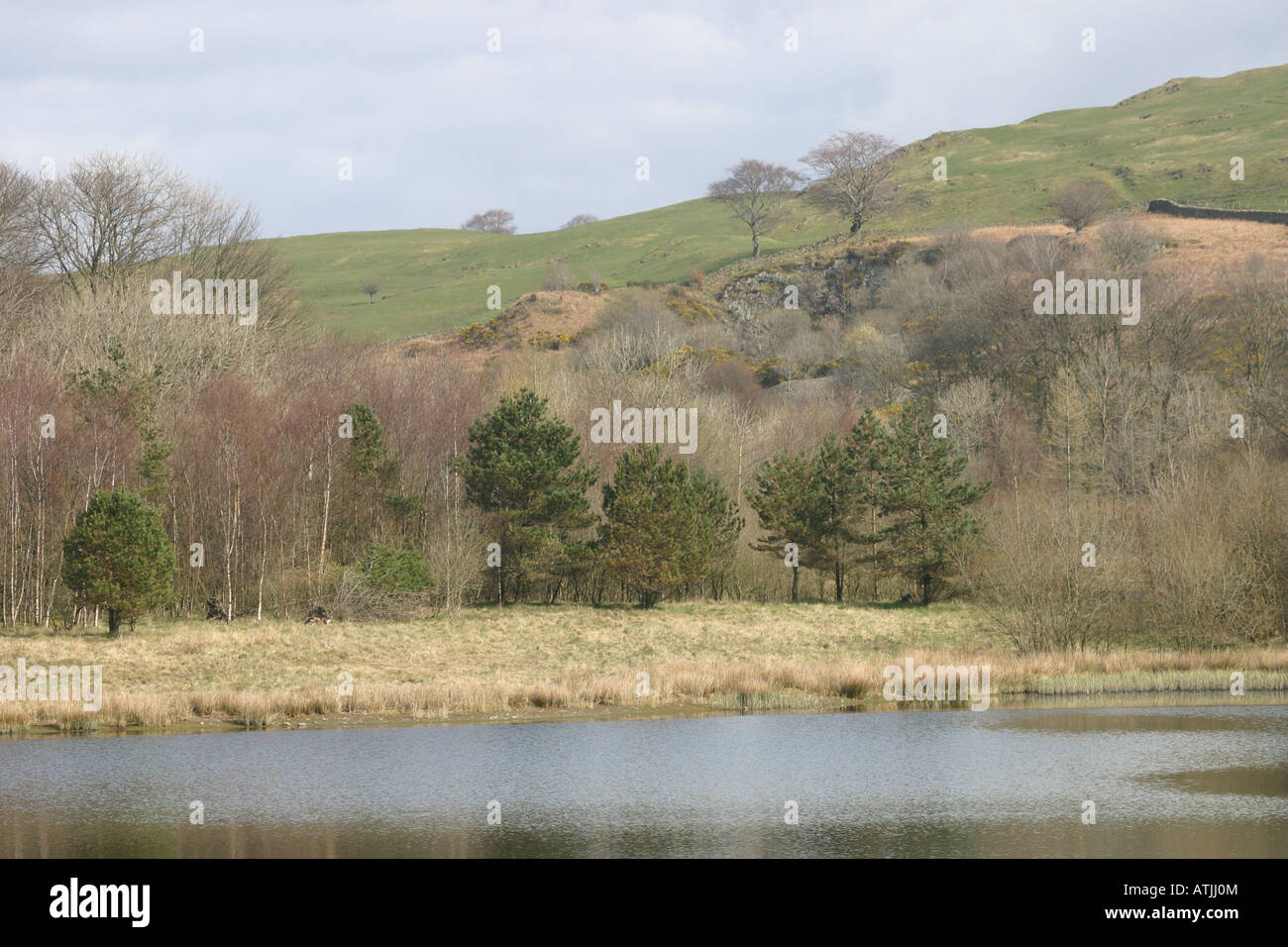 woods tarn reservoir bank trees sloping bank Stock Photo - Alamy