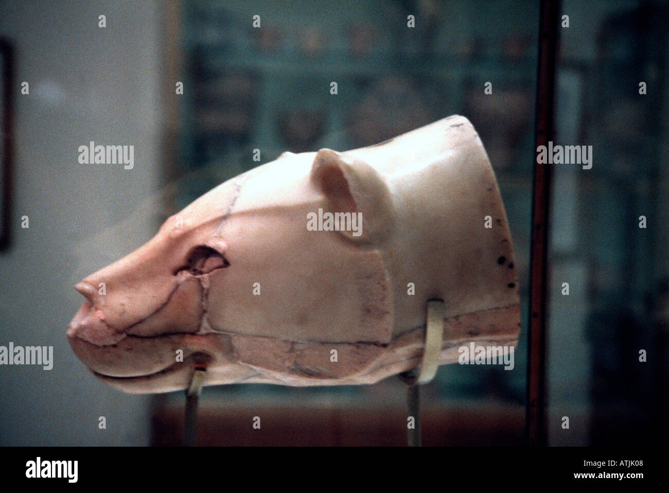 Rhyton crete hi-res stock photography and images - Alamy