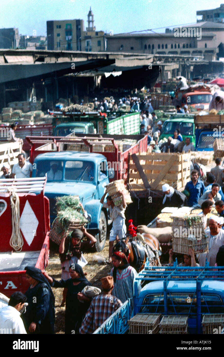 Cairo Egypt Fruit Market Congestion Stock Photo - Alamy