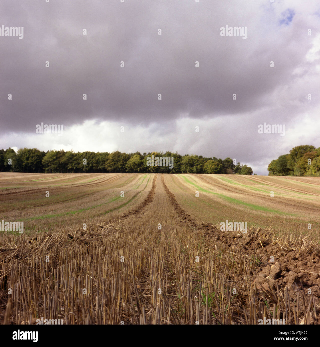Whitwell hertfordshire hi-res stock photography and images - Alamy
