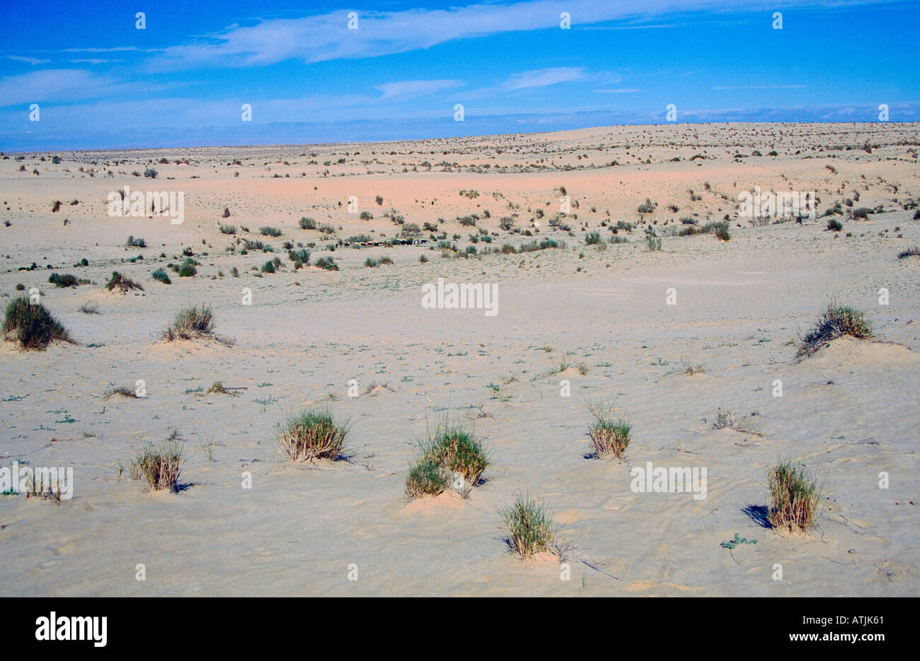 Nefta hi-res stock photography and images - Alamy