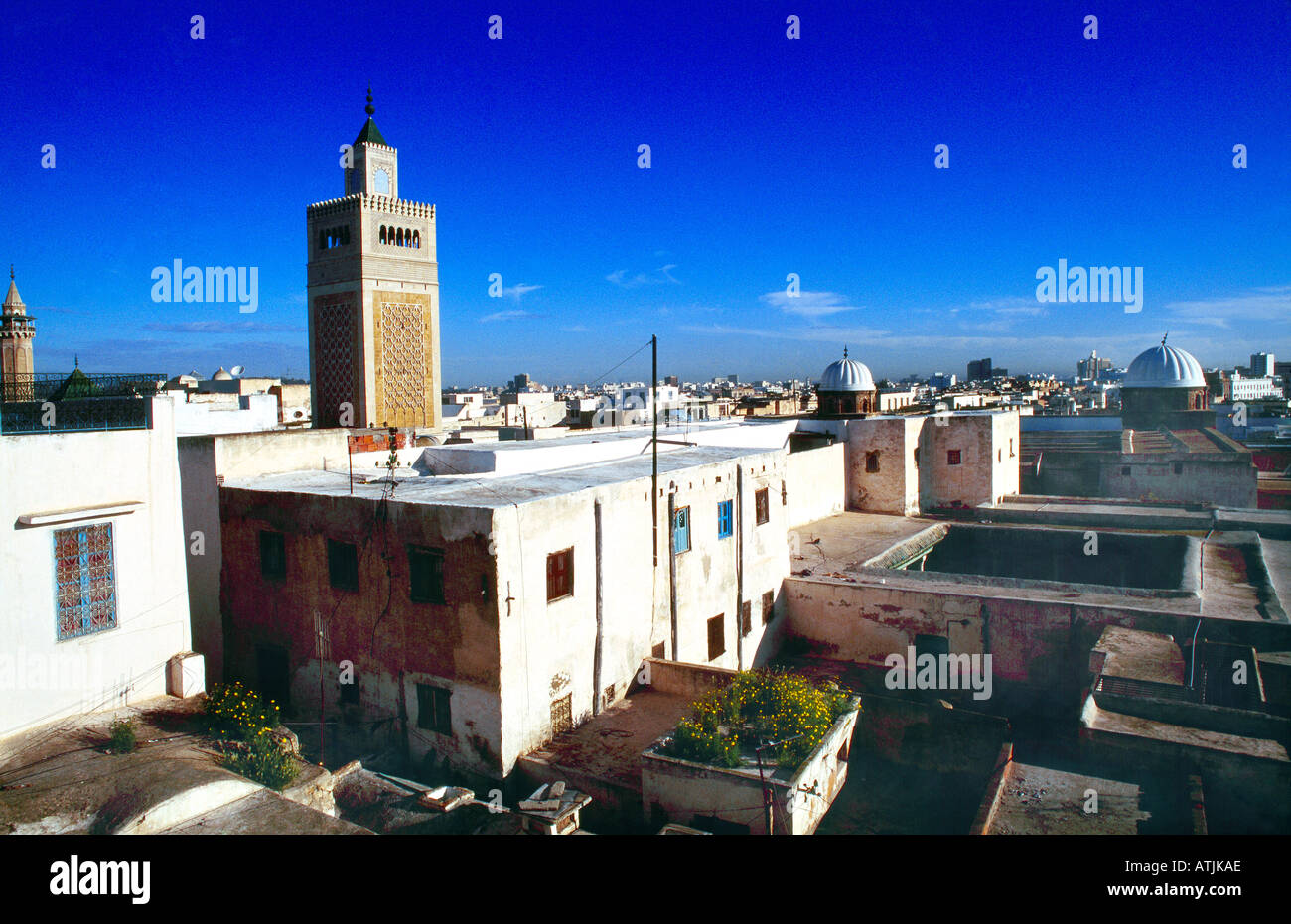 Tunis Tunisia Great Mosque - Minaret Medina Rooftops Mosque of the ...