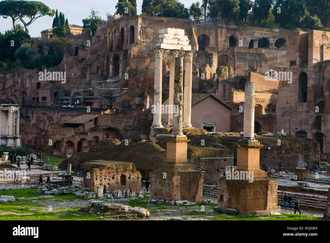 The Roman Forum, Rome Roma Italy Italia Stock Photo - Alamy