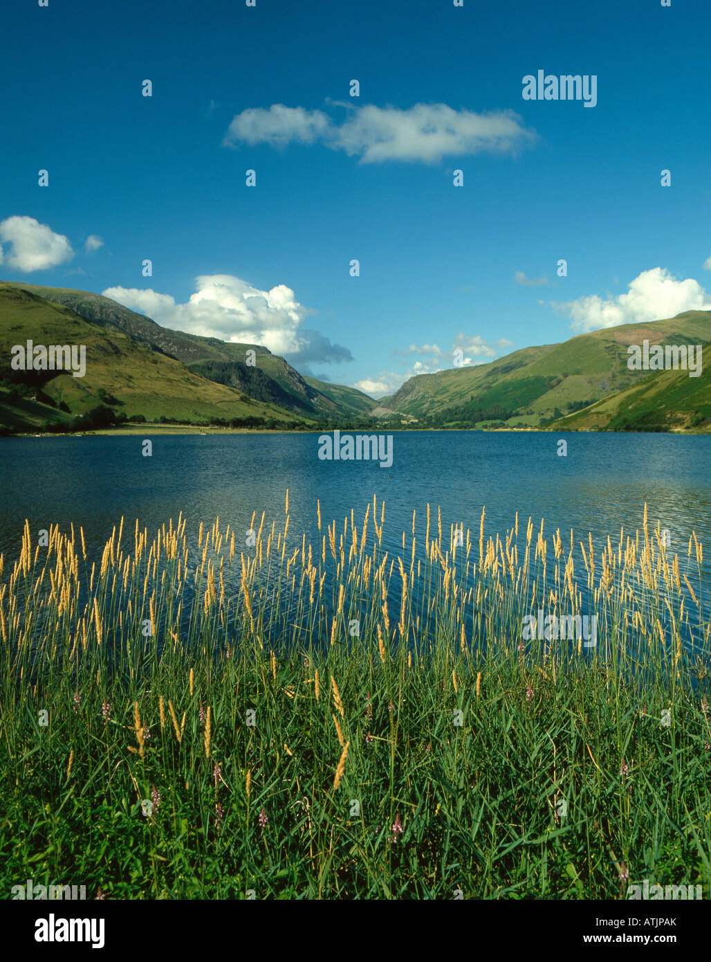 Tal-y-Llyn, Gwynedd, Wales, UK Stock Photo - Alamy