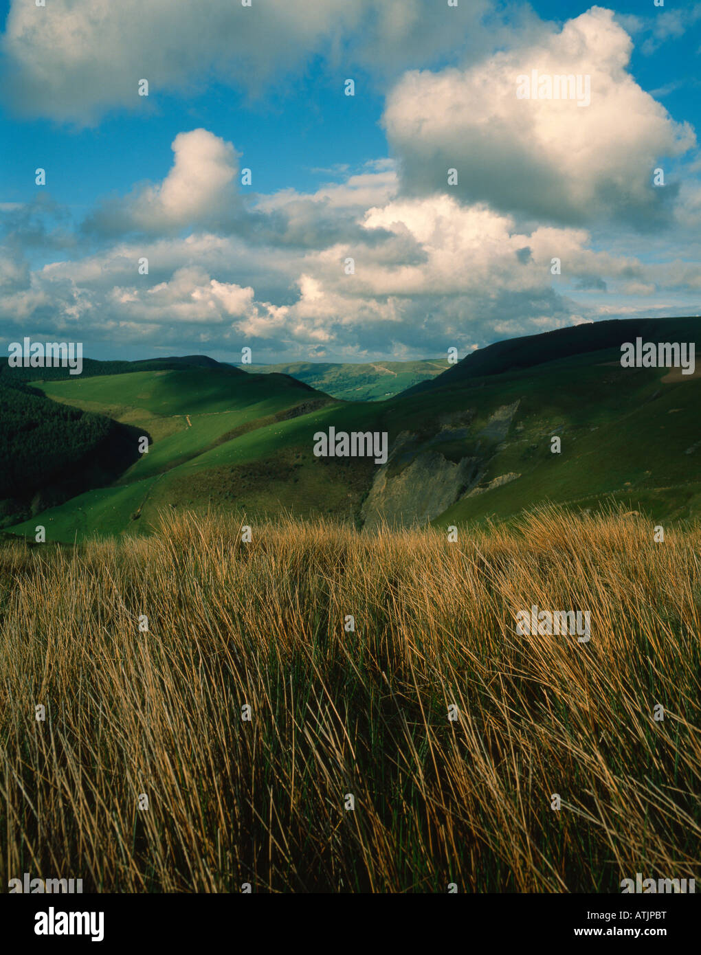 Powys landscape, Wales, UK Stock Photo - Alamy
