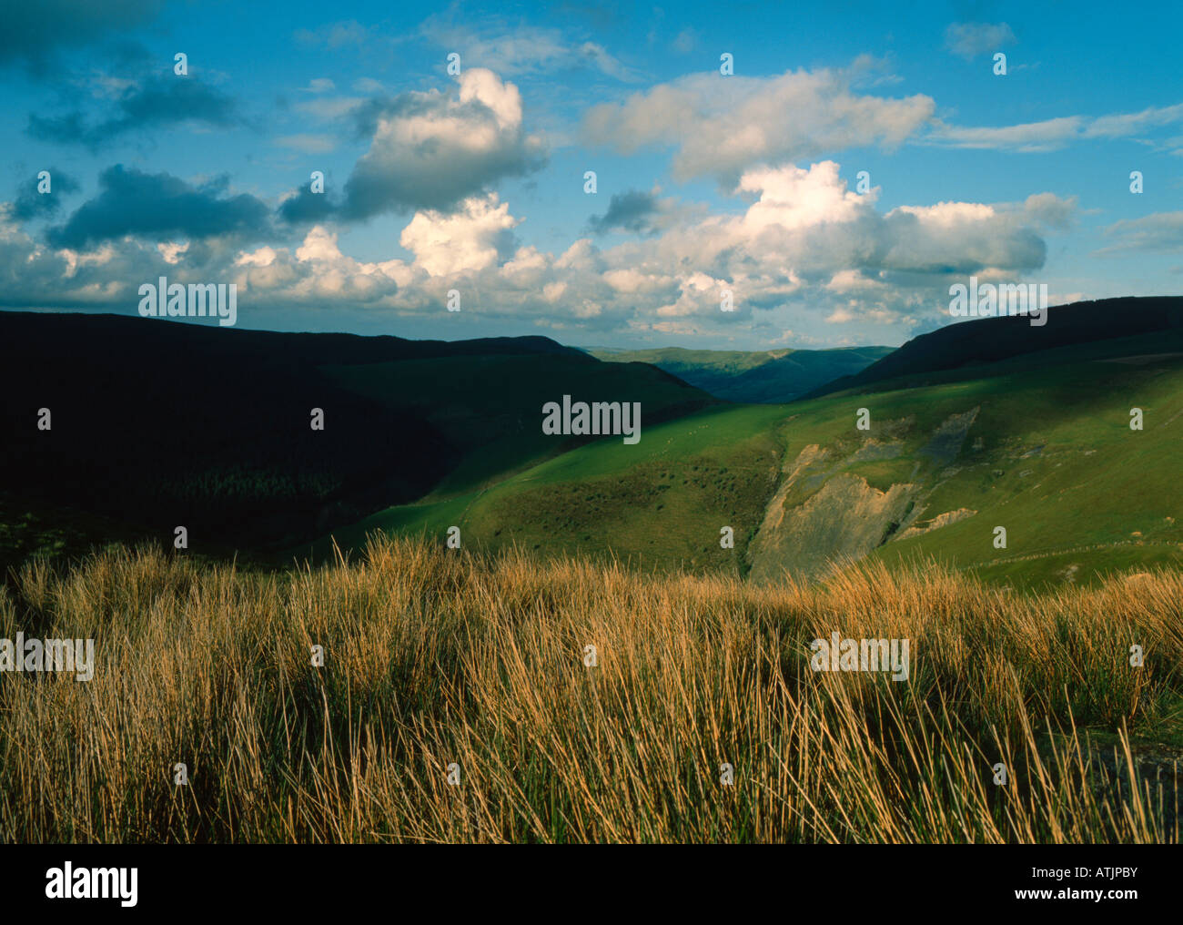 Powys landscape, Wales, UK Stock Photo - Alamy