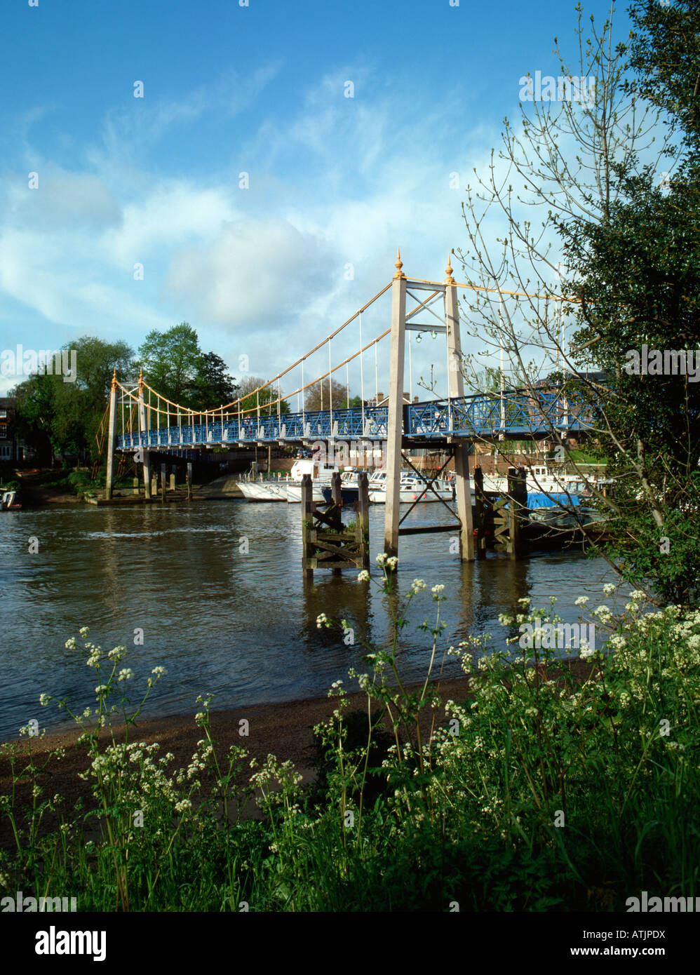 Suspension footbridge, Teddington Lock, Middlesex, UK Stock Photo - Alamy