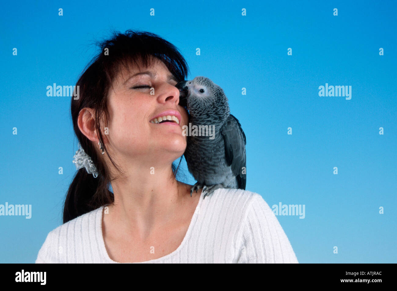 Hairstyle at the parrot hi-res stock photography and images - Alamy