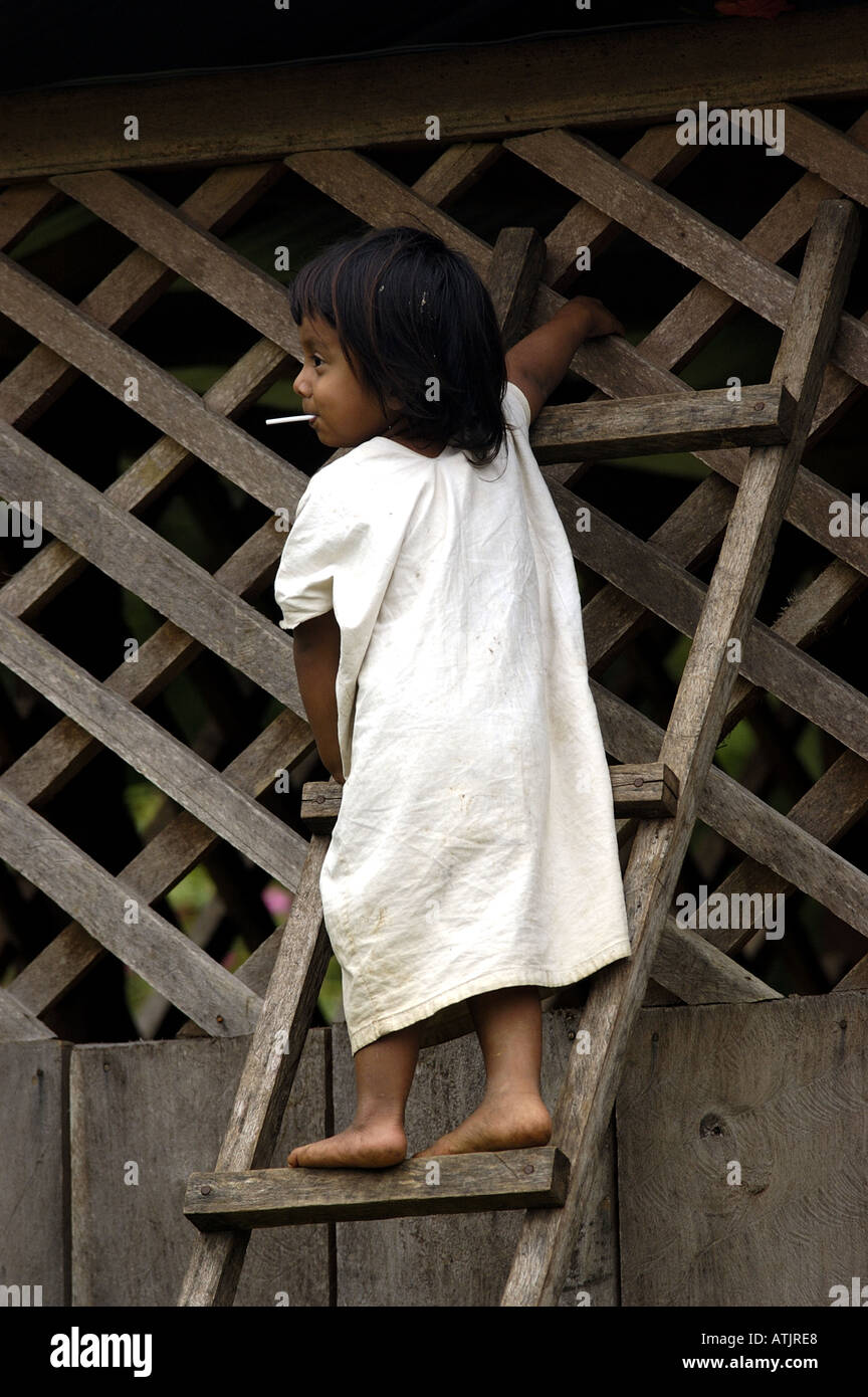 Pelenque hi-res stock photography and images - Alamy