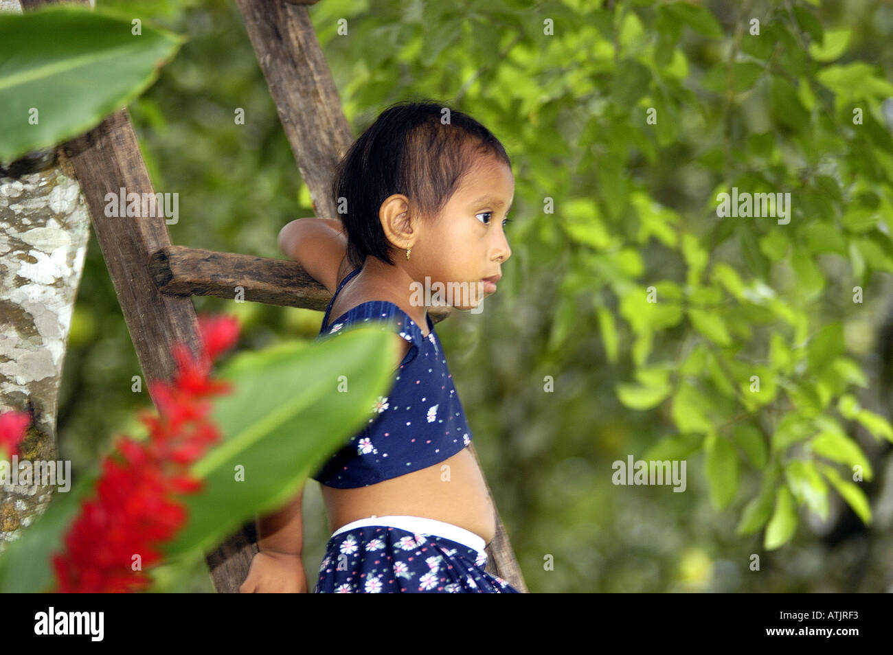 Pelenque hi-res stock photography and images - Alamy