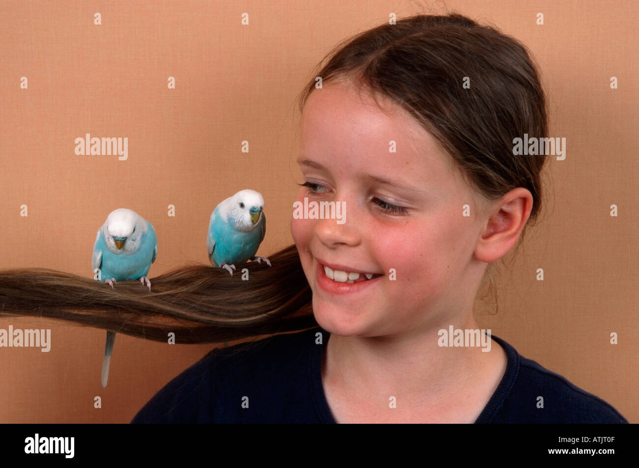 Smiling budgie hi-res stock photography and images - Alamy