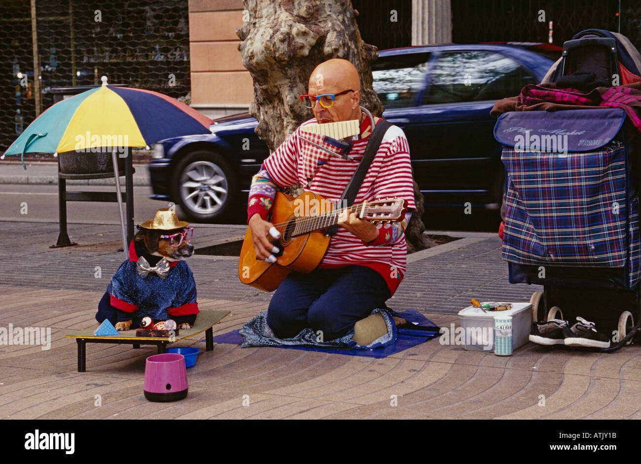 Busker and dog performing on street, Barcelona Stock Photo - Alamy