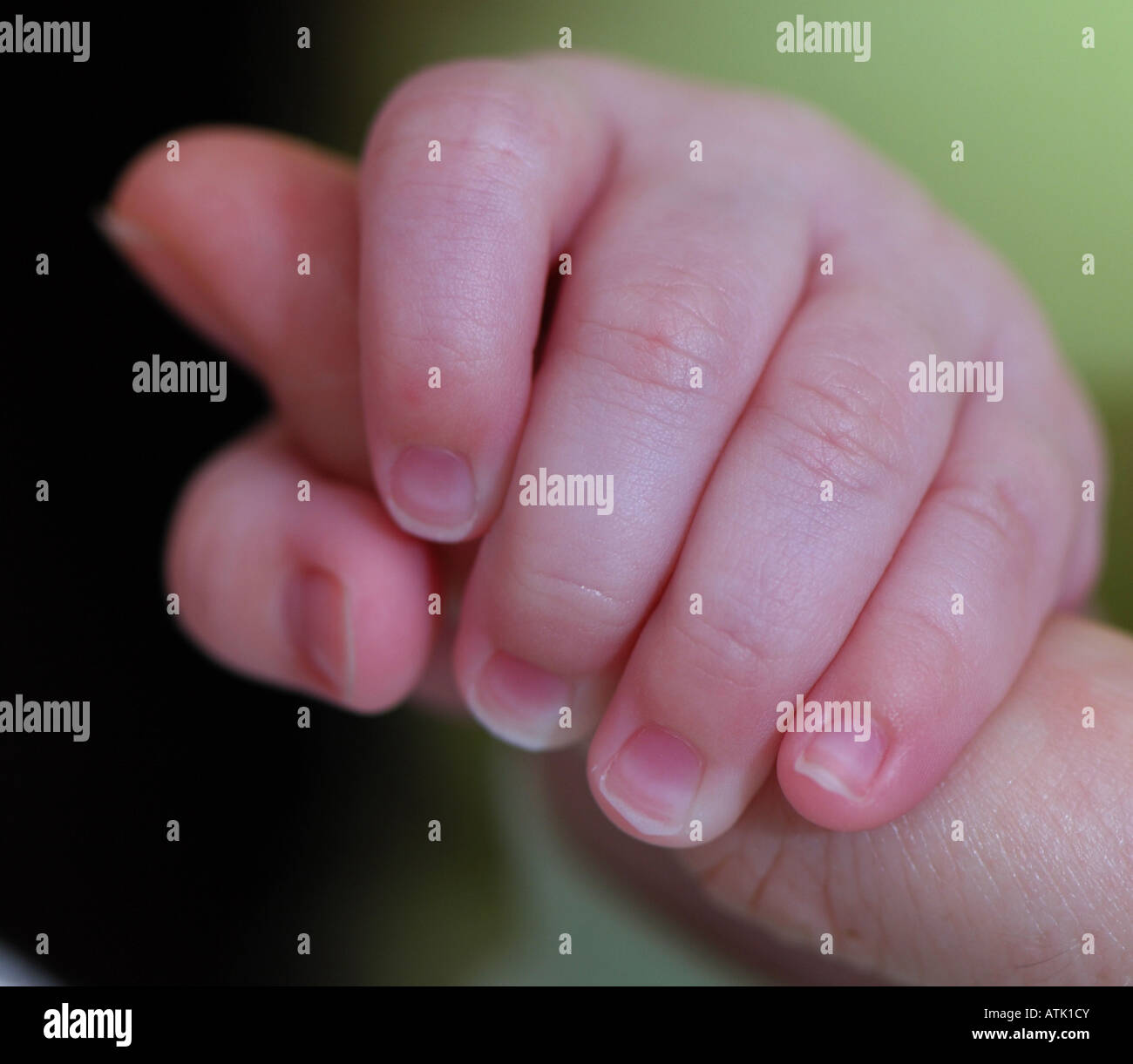 babies hand, foot Stock Photo - Alamy