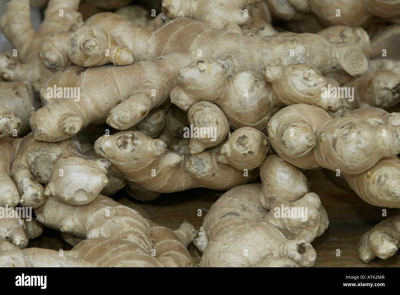 Common Ginger Roots Stock Photo - Alamy