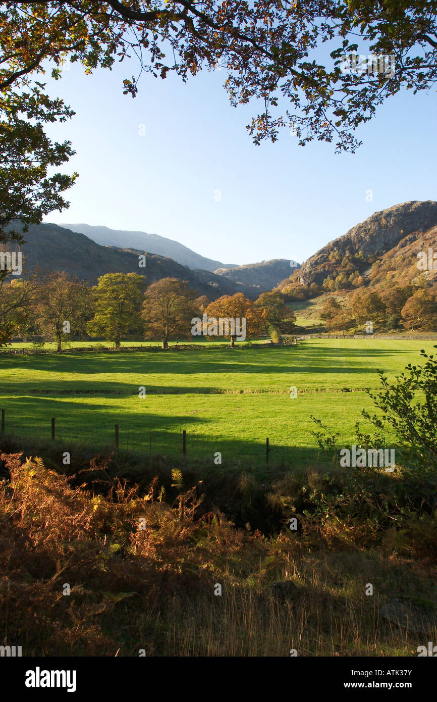 Trees in autumn colours, The Lake District, Cumbria, England Stock ...