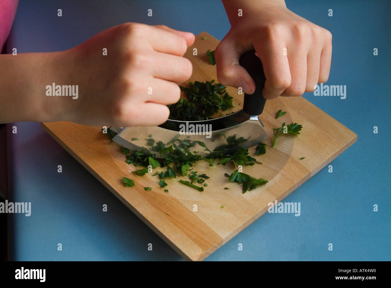 Chopping flat leaf parsley with a mezzaluna and wooden board Stock ...