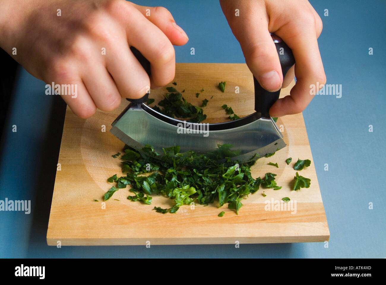 Chopping flat leaf parsley with a mezzaluna and wooden board Stock ...