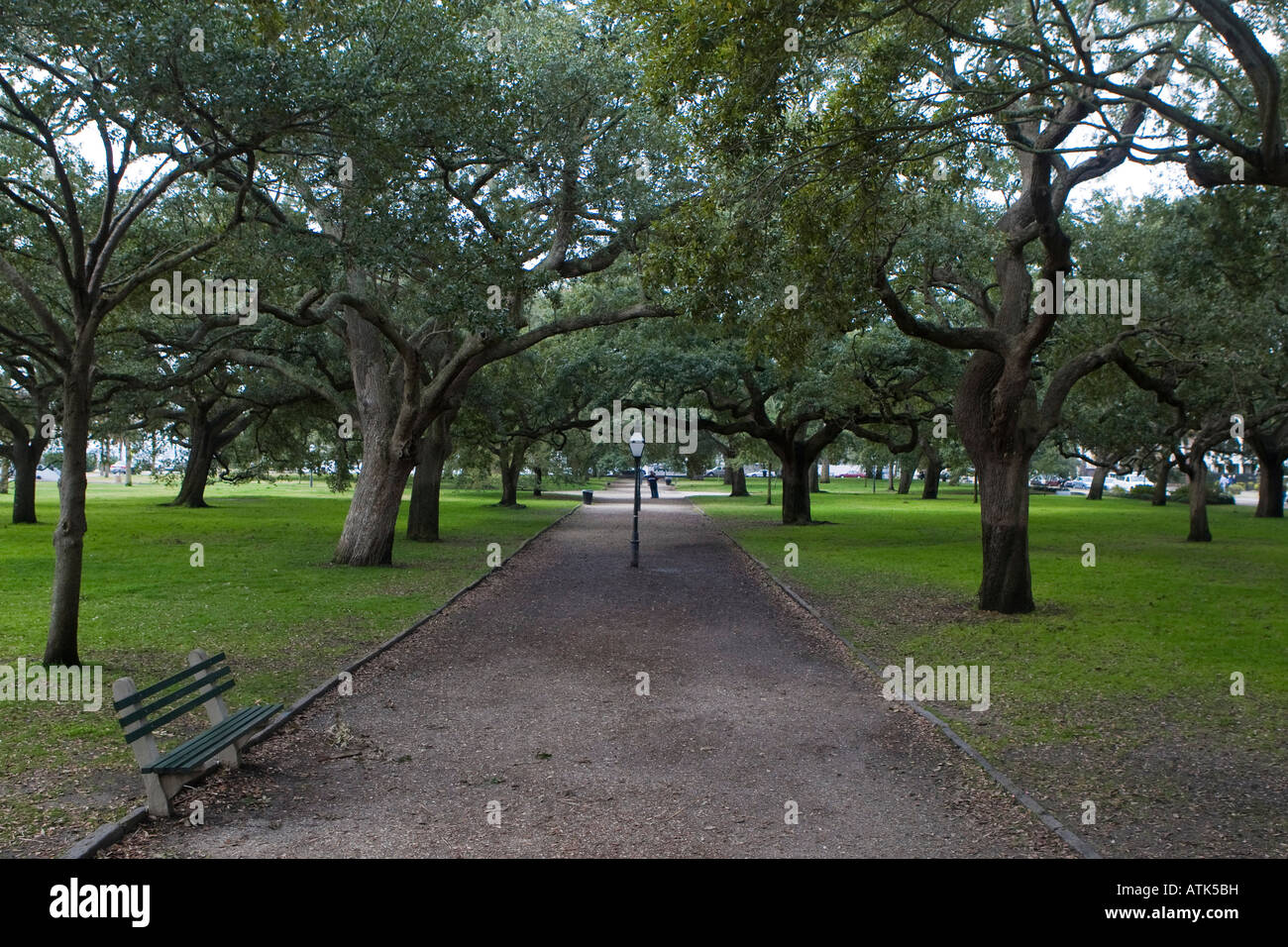 A tree lined walk way White Point Gardens The Battery Charleston SC ...