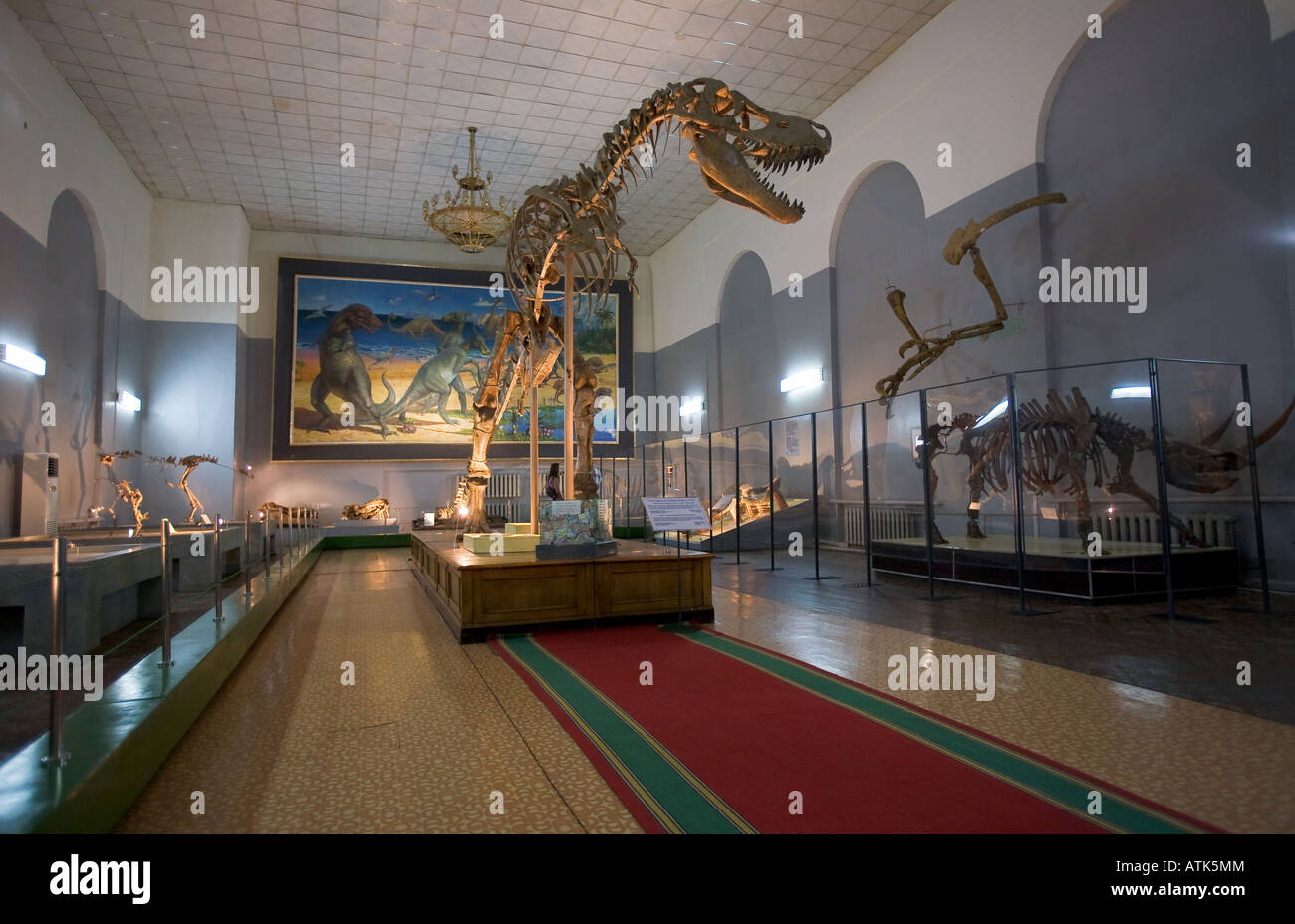 3 metre tall 5 ton flesh eating tarbosaurus skeleton Museum of Natural ...