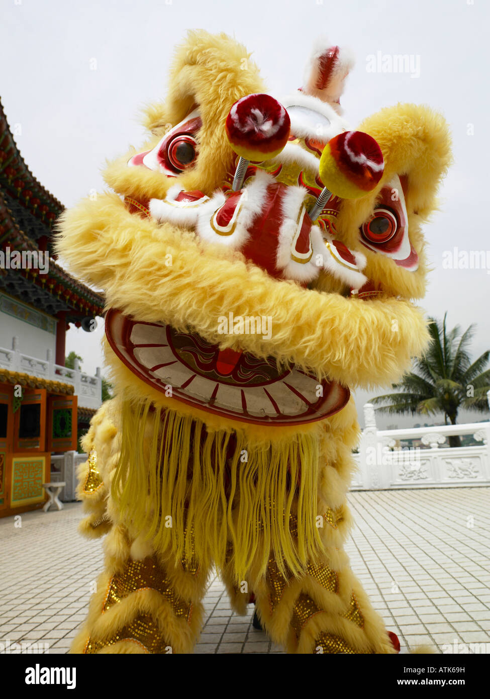 Side View Lion Dance Performer High Resolution Stock Photography and ...