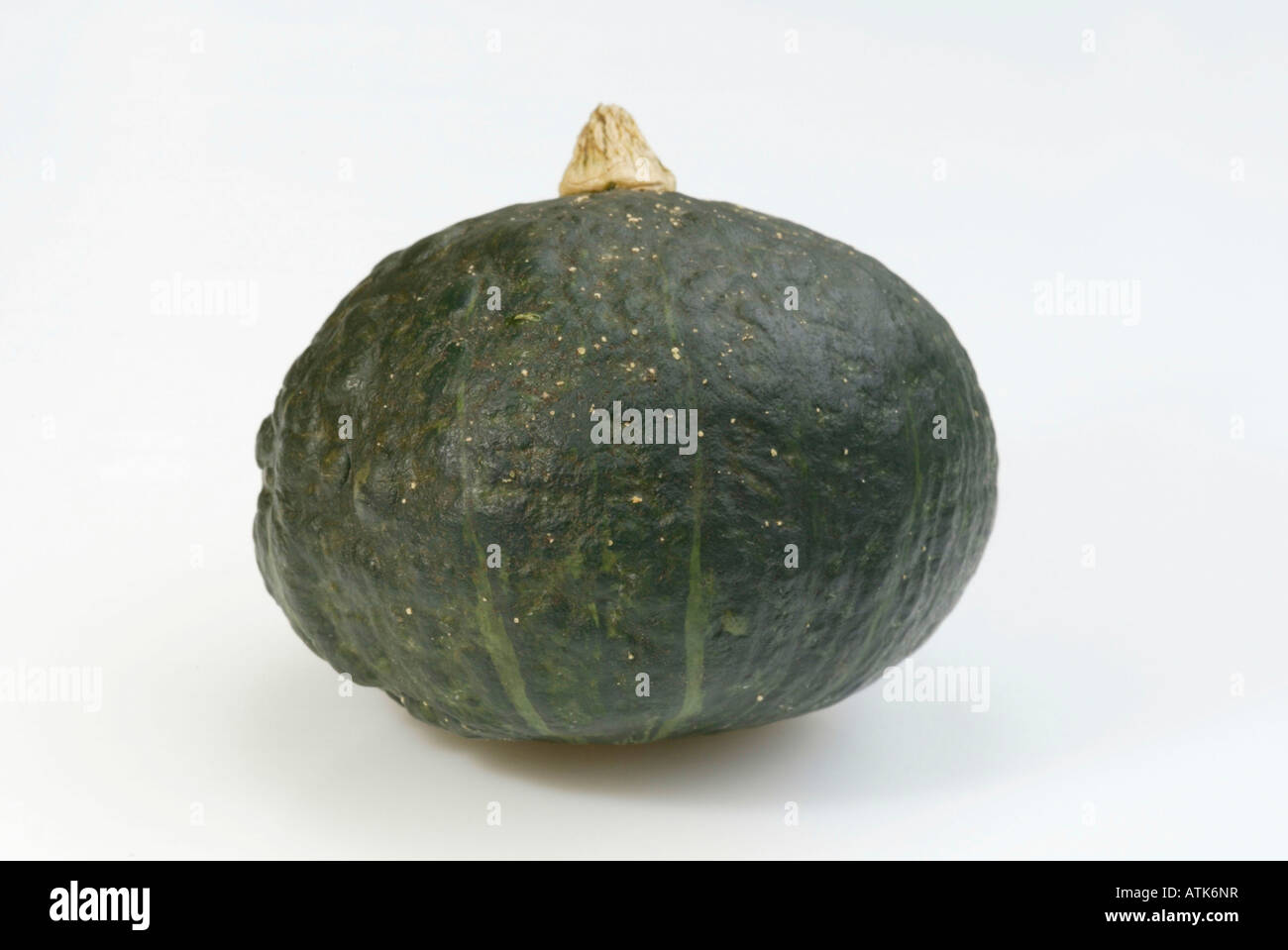 Pumpkin / Kuerbis Stock Photo - Alamy