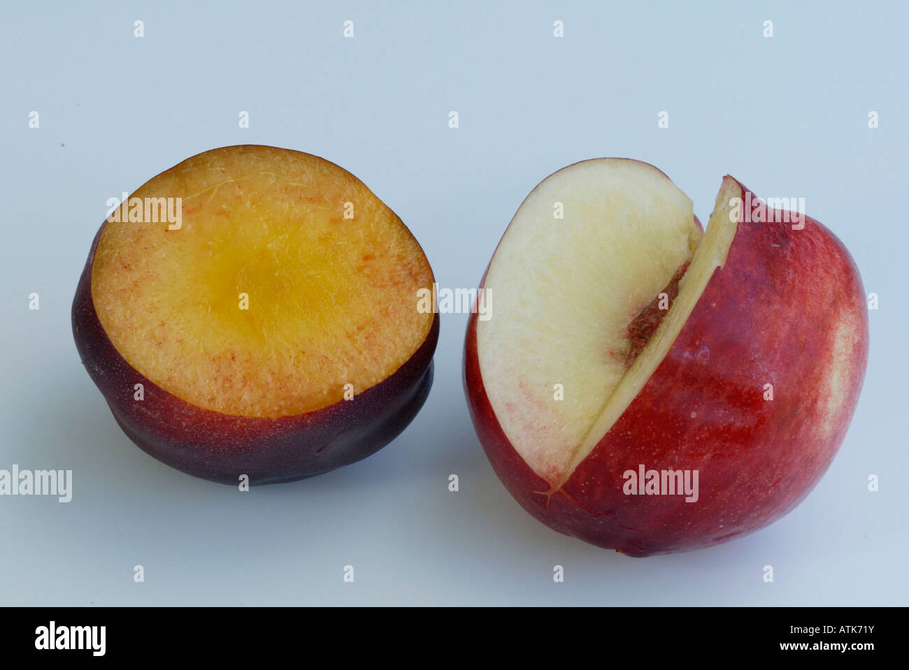 Prunus persica var nectarine hi-res stock photography and images - Alamy