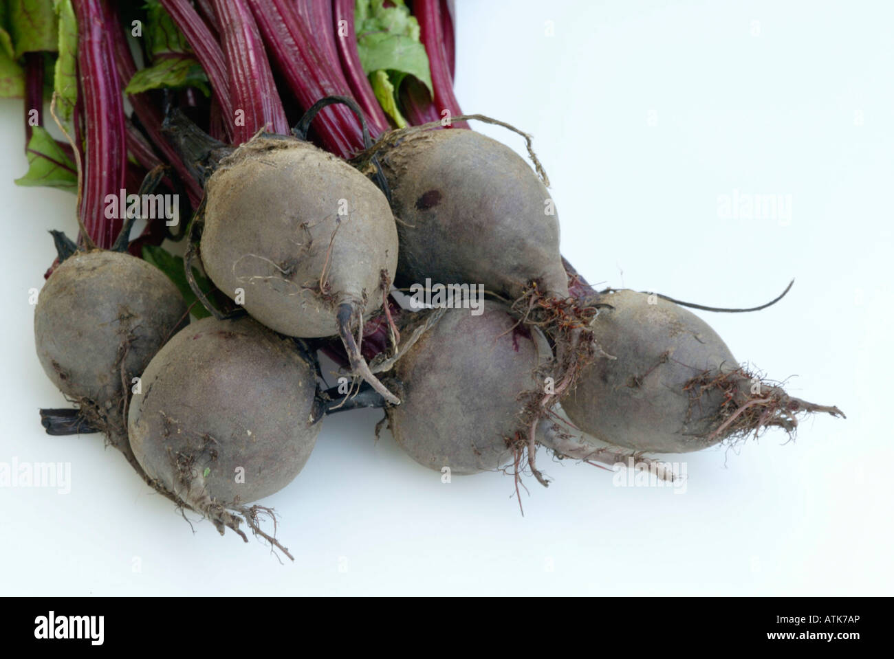 Beet / Rote Beete Stock Photo - Alamy