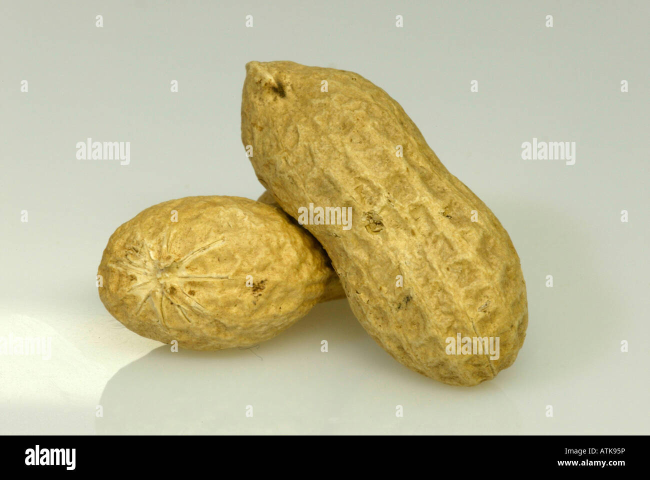 Groundnut / Peanut Stock Photo - Alamy