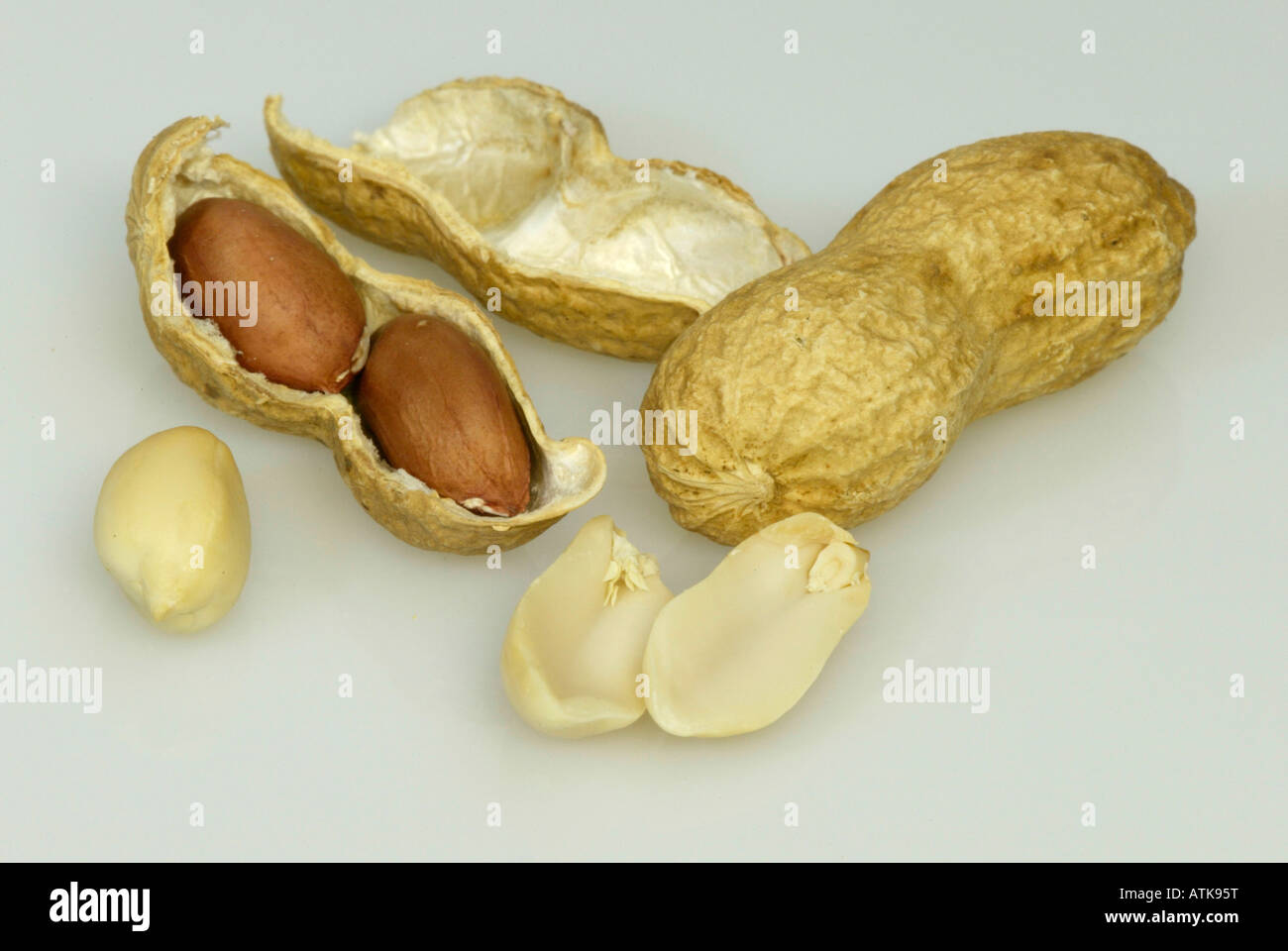 Groundnut / Peanut Stock Photo - Alamy
