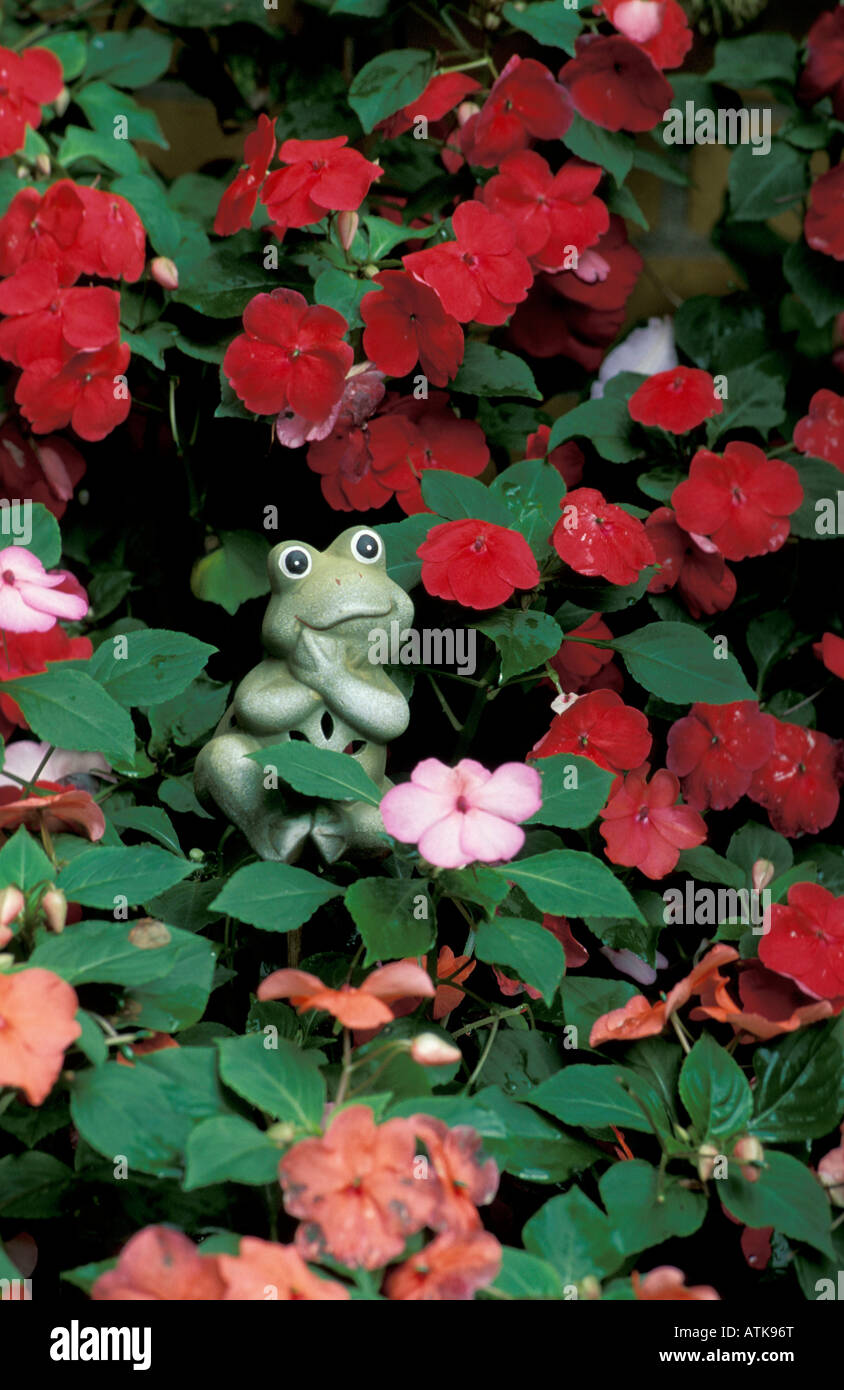 Busy lizzy hi-res stock photography and images - Alamy