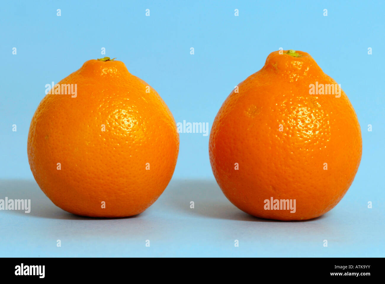 Minneola / Tangelo Stock Photo - Alamy