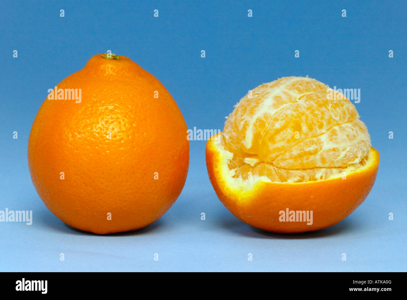Minneola / Tangelo Stock Photo - Alamy