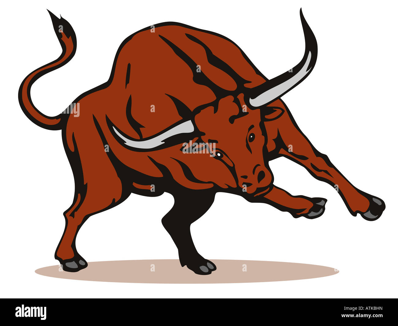 Angry texas longhorn bull charging Stock Photo - Alamy