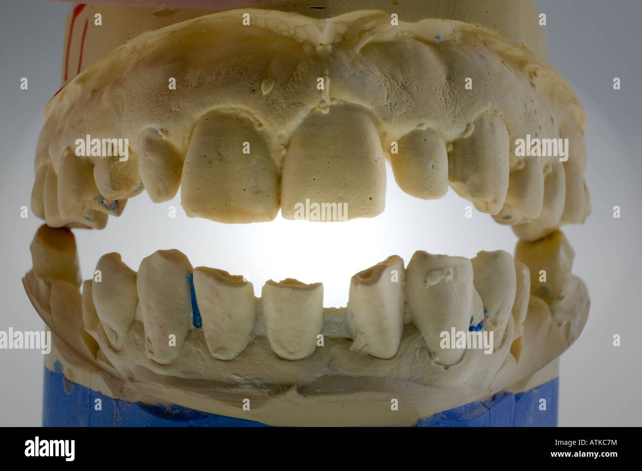 Gips model hi-res stock photography and images - Alamy