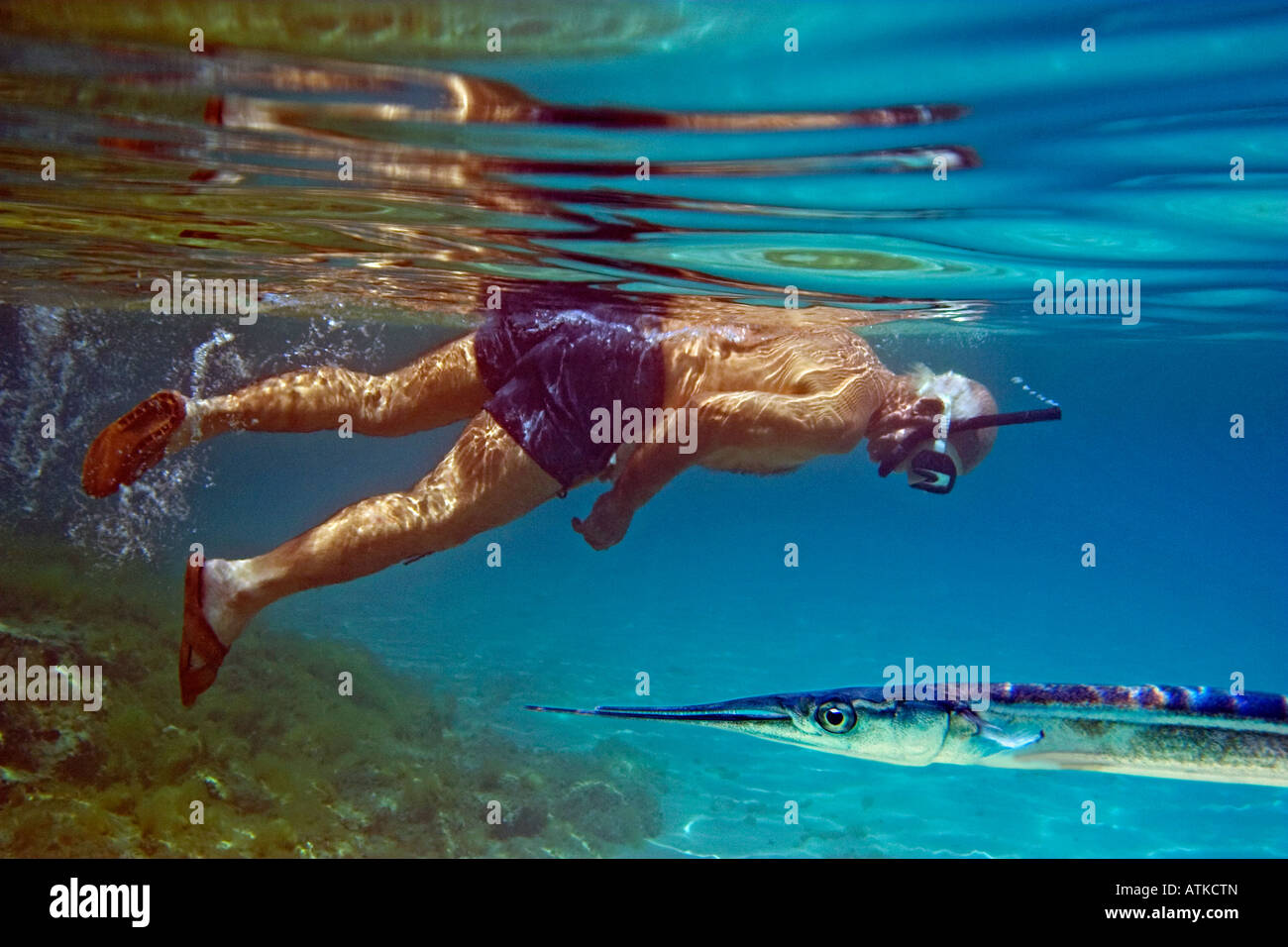Old man beach scuba hi-res stock photography and images - Alamy