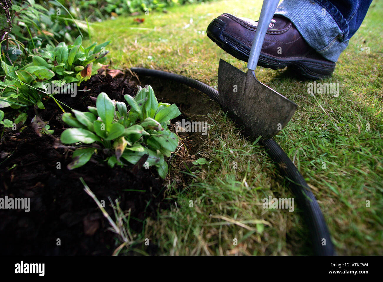 Garden edging hi-res stock photography and images - Alamy