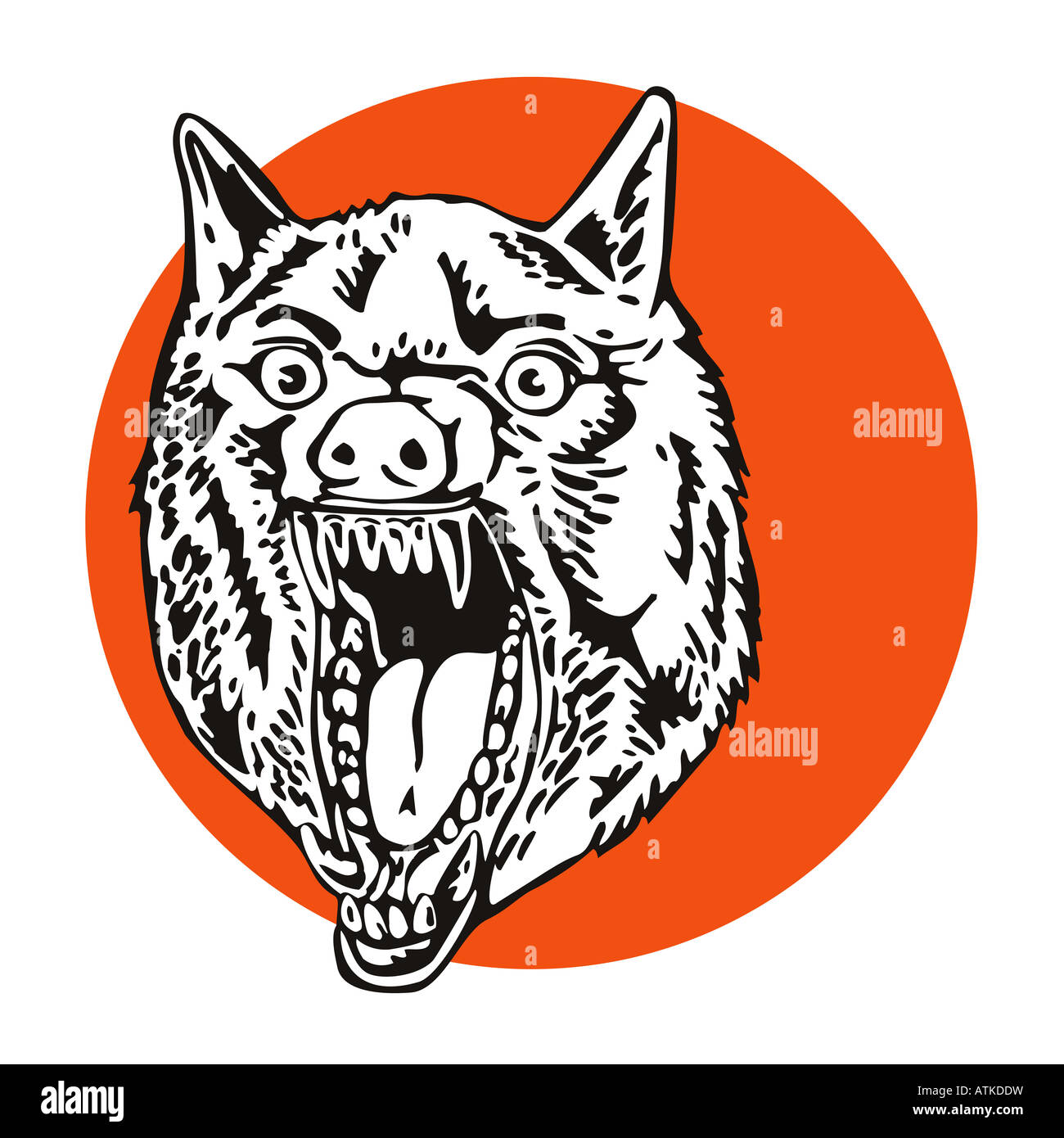 Wolf cut Cut Out Stock Images & Pictures - Alamy