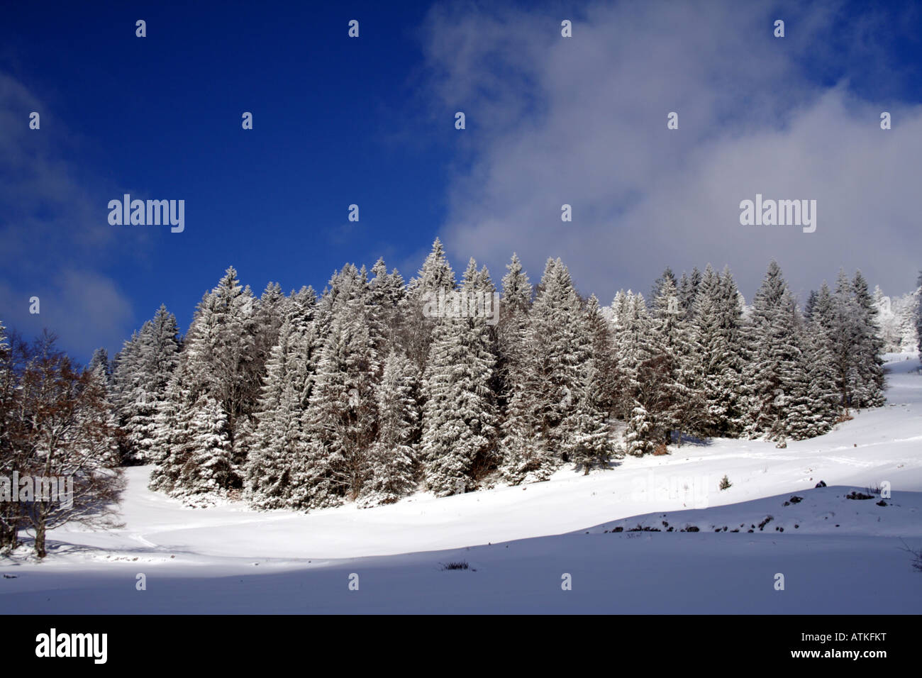 Alpine landscape in winter Stock Photo - Alamy