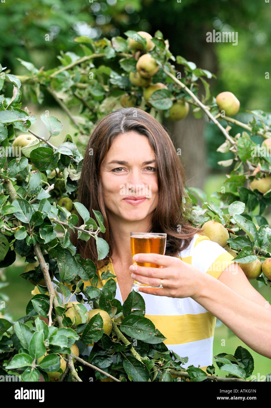 Tasting appellation controlee hi-res stock photography and images - Alamy