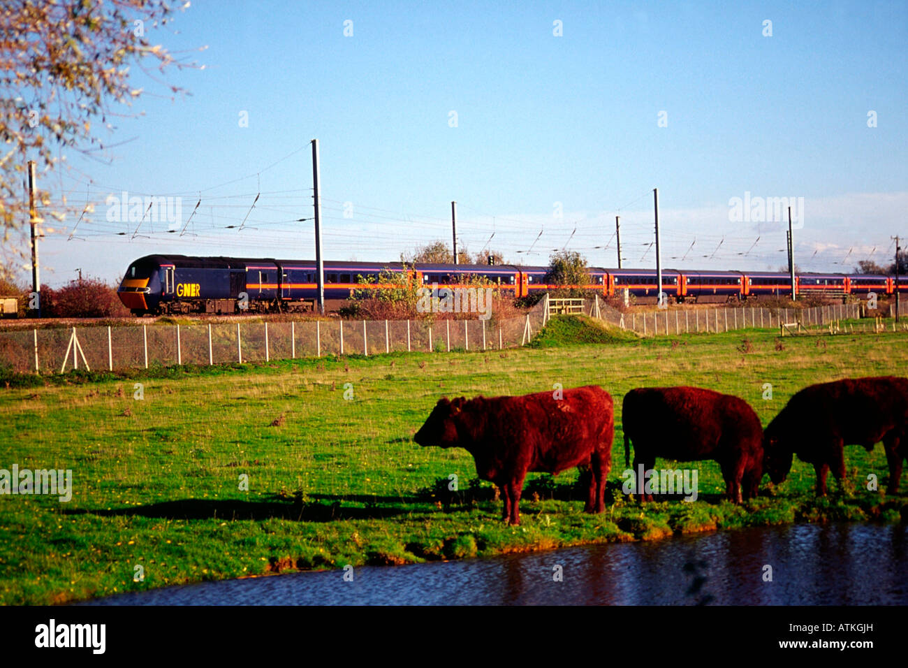 GNER 43 class diesel HST train ECML Lolham Peterborough Cambridgeshire ...