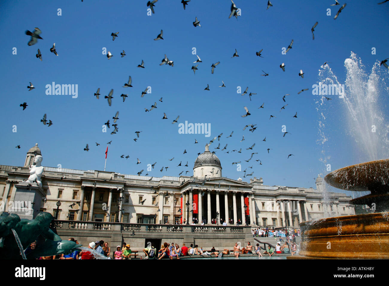 Pigeons flying around Trafalgar Square, London Stock Photo - Alamy