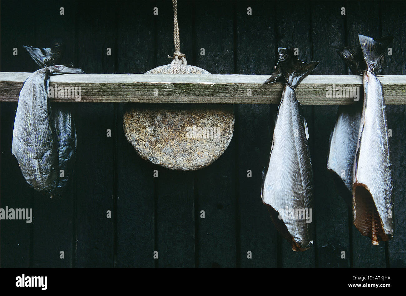 Dried fish in Torshavn the capital of the Faroe Islands Stock Photo - Alamy