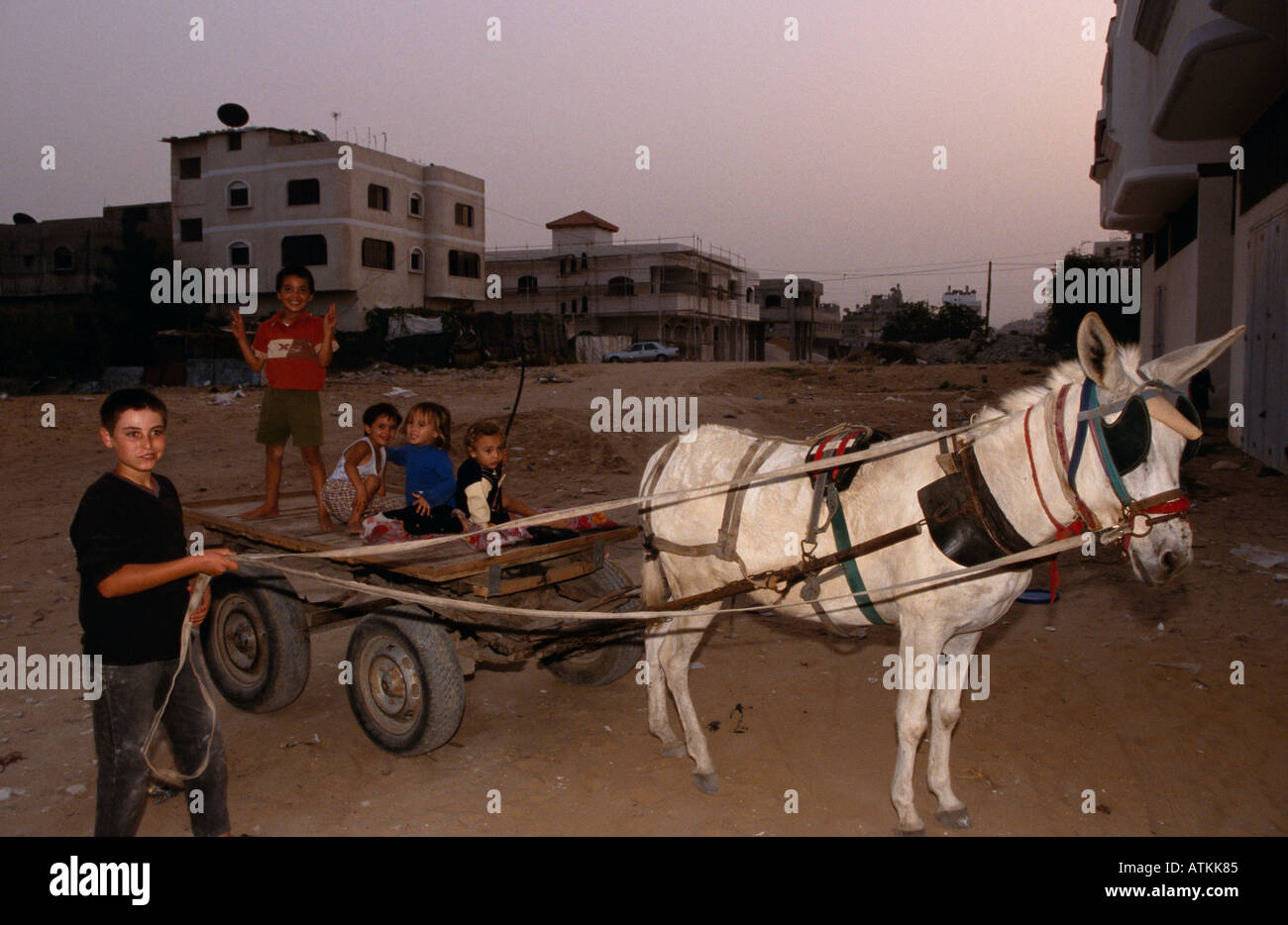 Children playing on donkey cart, Gaza, Egypt Stock Photo - Alamy