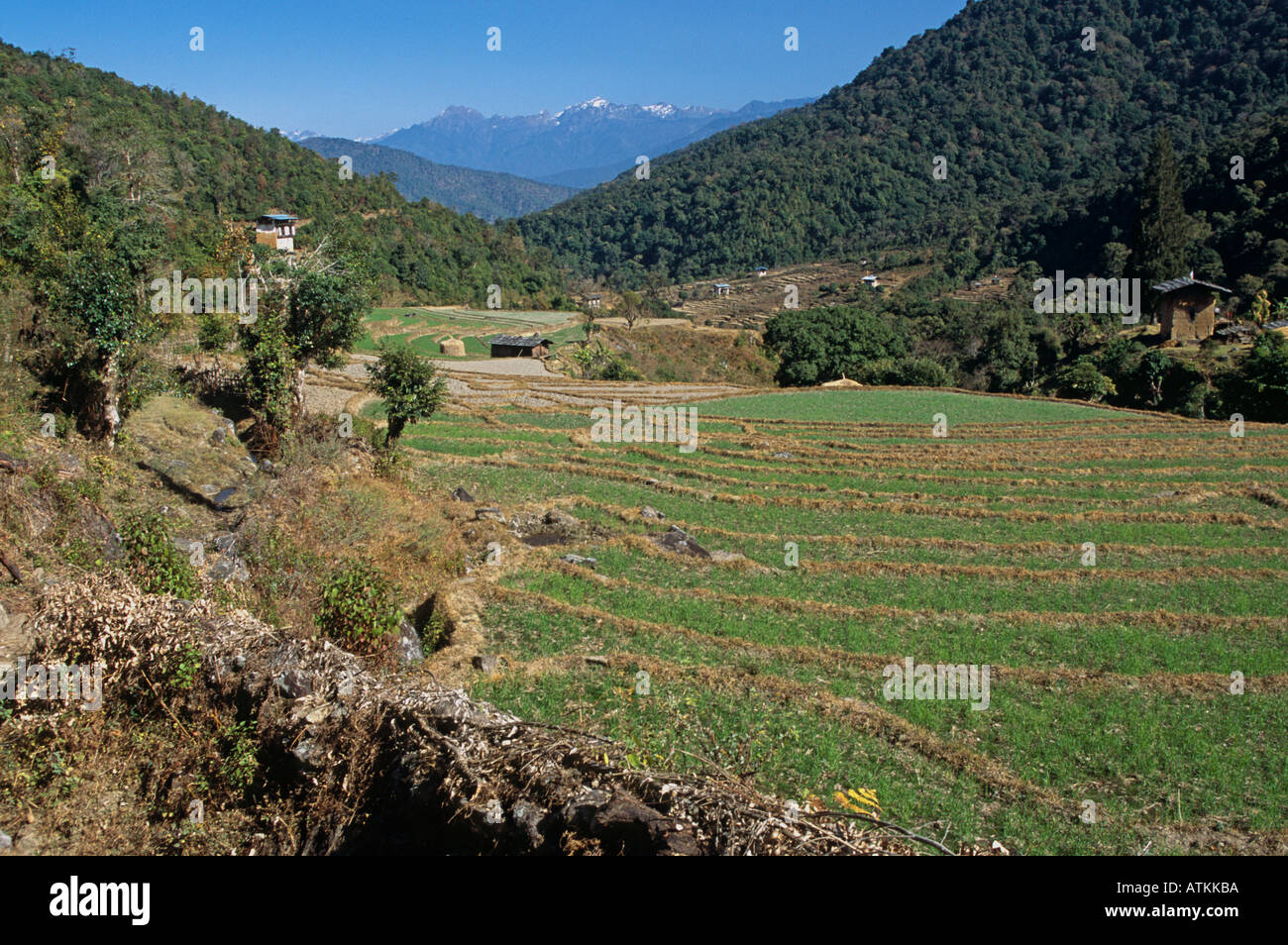 Bhutan terraced farming valley hi-res stock photography and images - Alamy